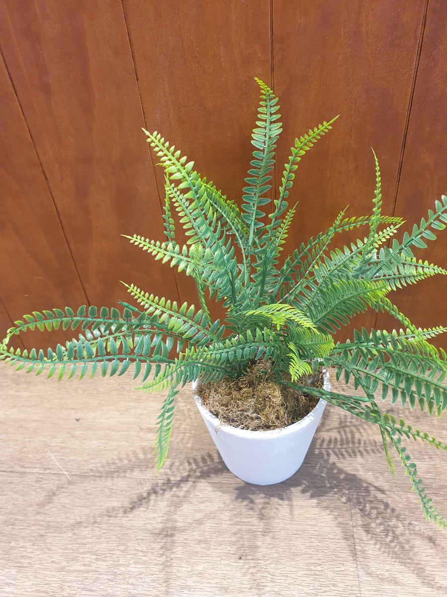 artificial fern pot – BBB Florist